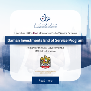 Daman Investments | Website