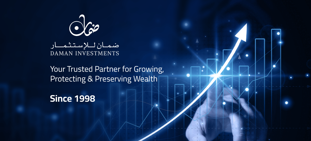 Daman Investments | Website