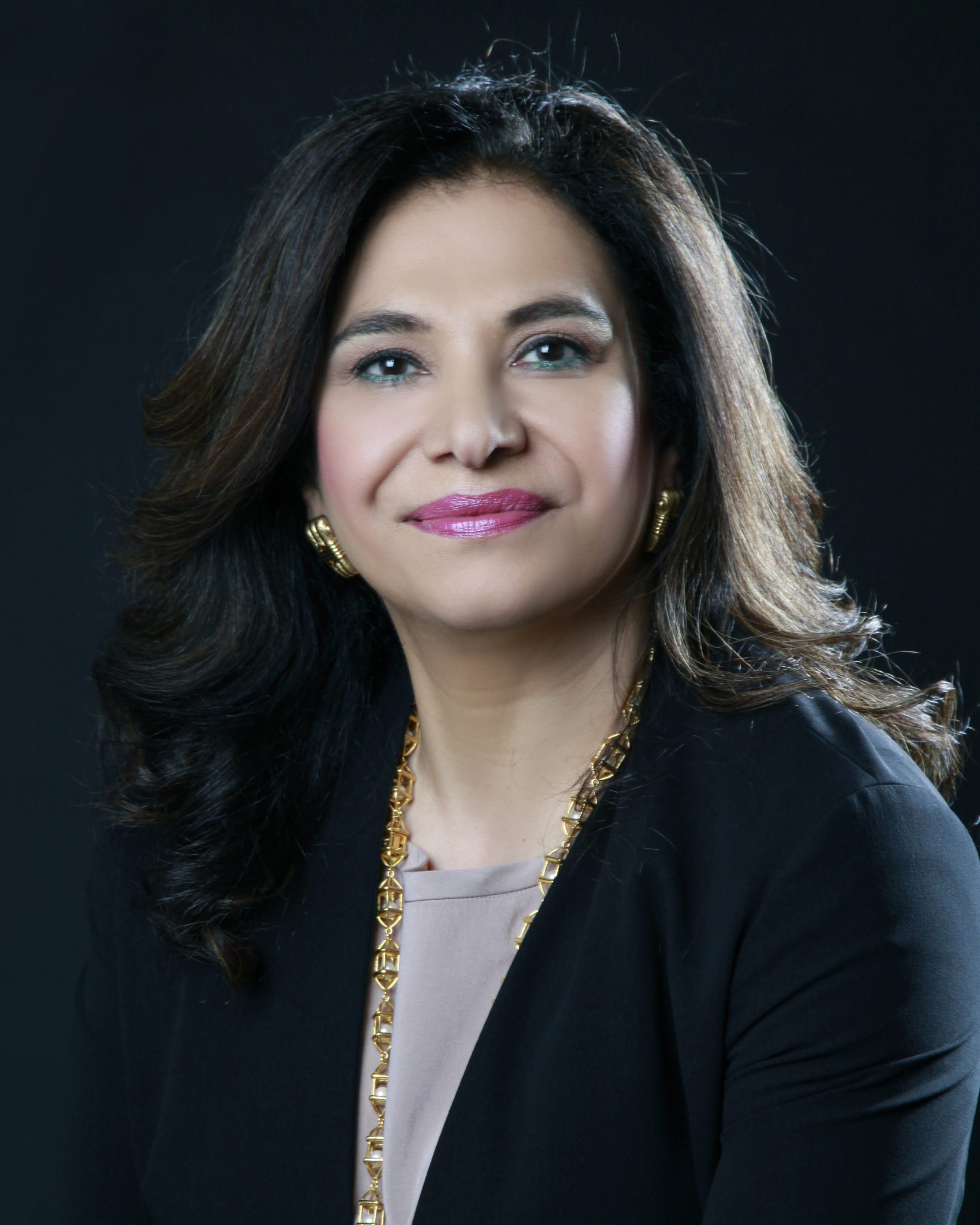 Board of Directors | Daman Investments